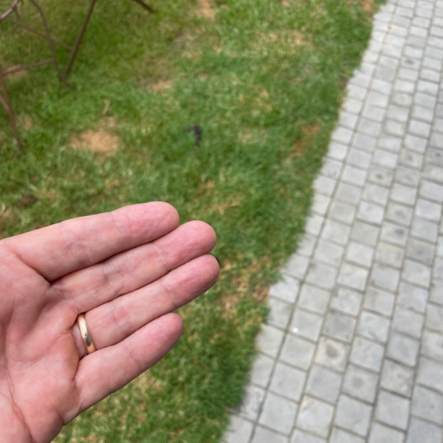 Mulligangolfballdetection Object Detection Dataset V9 2023 03 23 6 34am By Brian Towsen