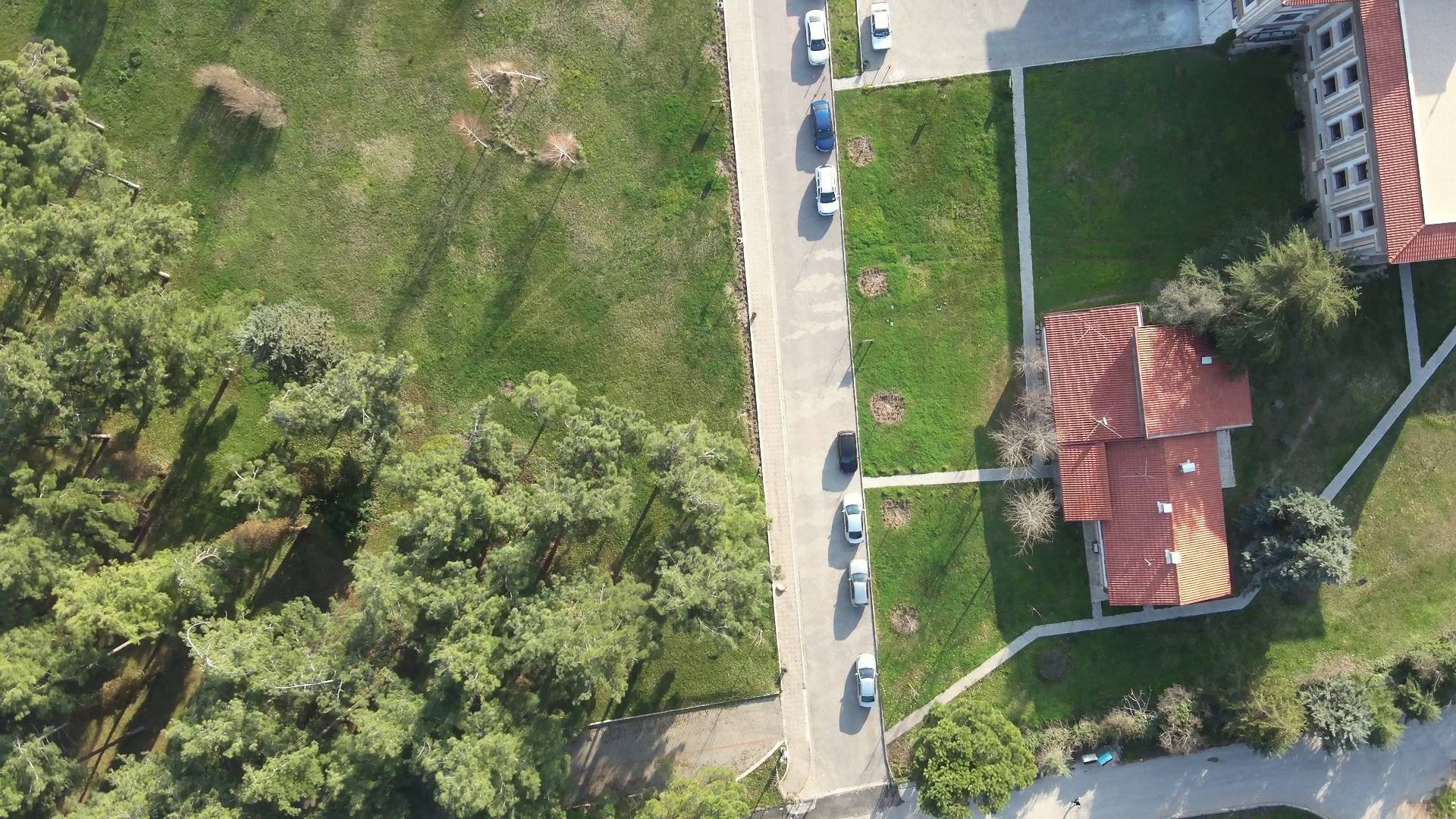 Try Object Detection Dataset by Try