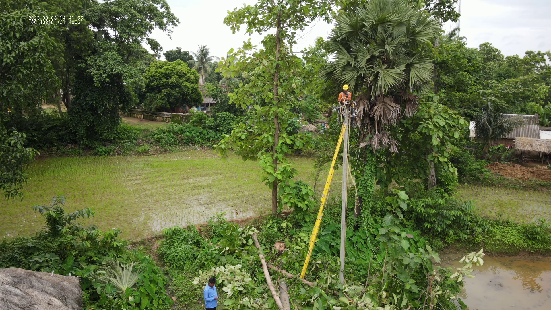 Ladder Detection Object Detection Dataset And Pre Trained Model By