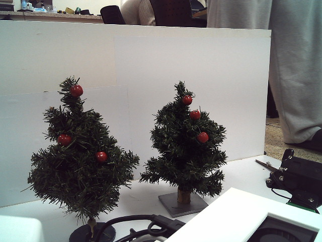2024 Merge V2 Object Detection Dataset By Tree