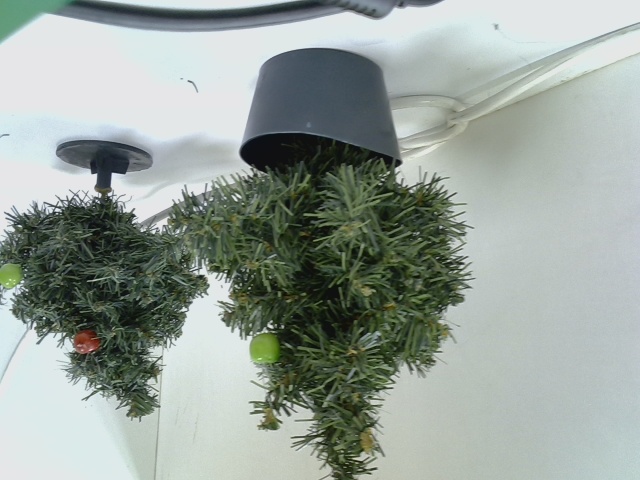 2024 Capture Merge Object Detection Dataset By Tree