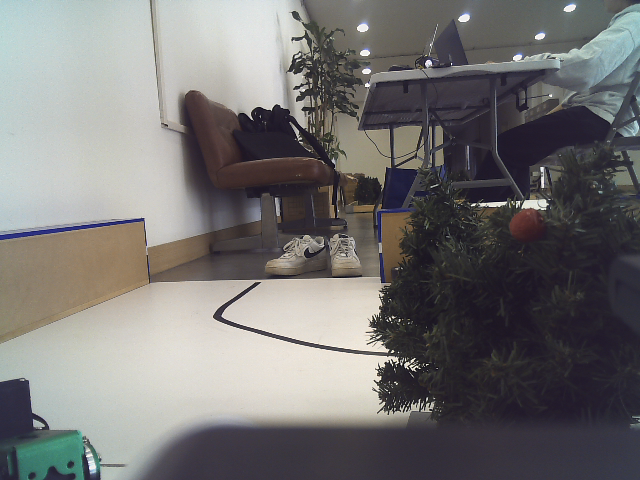 2024 Merge Object Detection Dataset By Tree