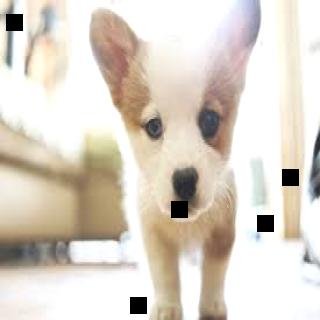 Practice Object Detection Dataset by pr1