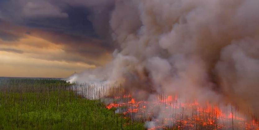 Fire And Smoke Object Detection Dataset by Aamir Naseer