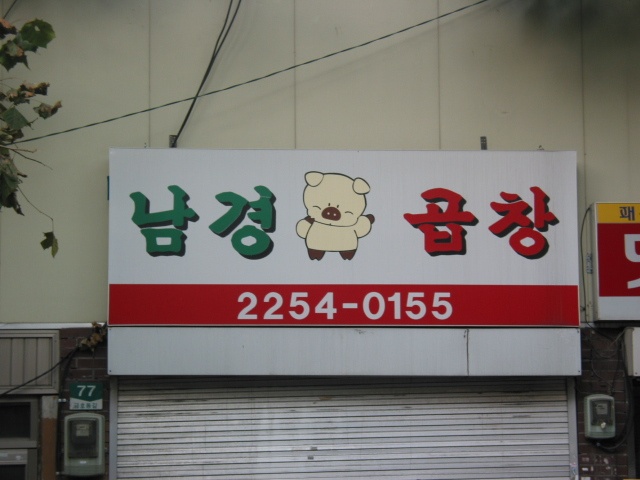 Coco Object Detection Dataset by Language