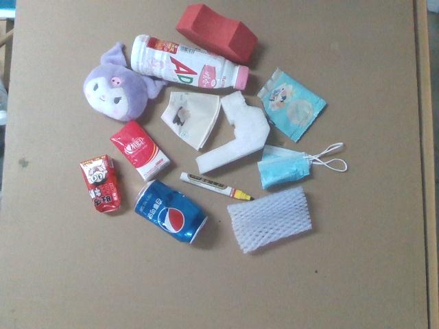 1229 Instance Segmentation Dataset by c2