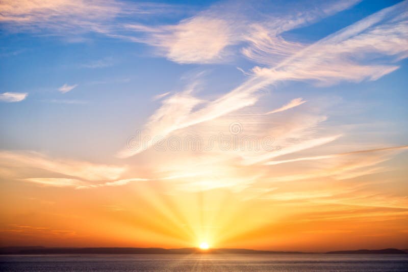 Custom Workflow Object Detection Object Detection Dataset and Pre ...