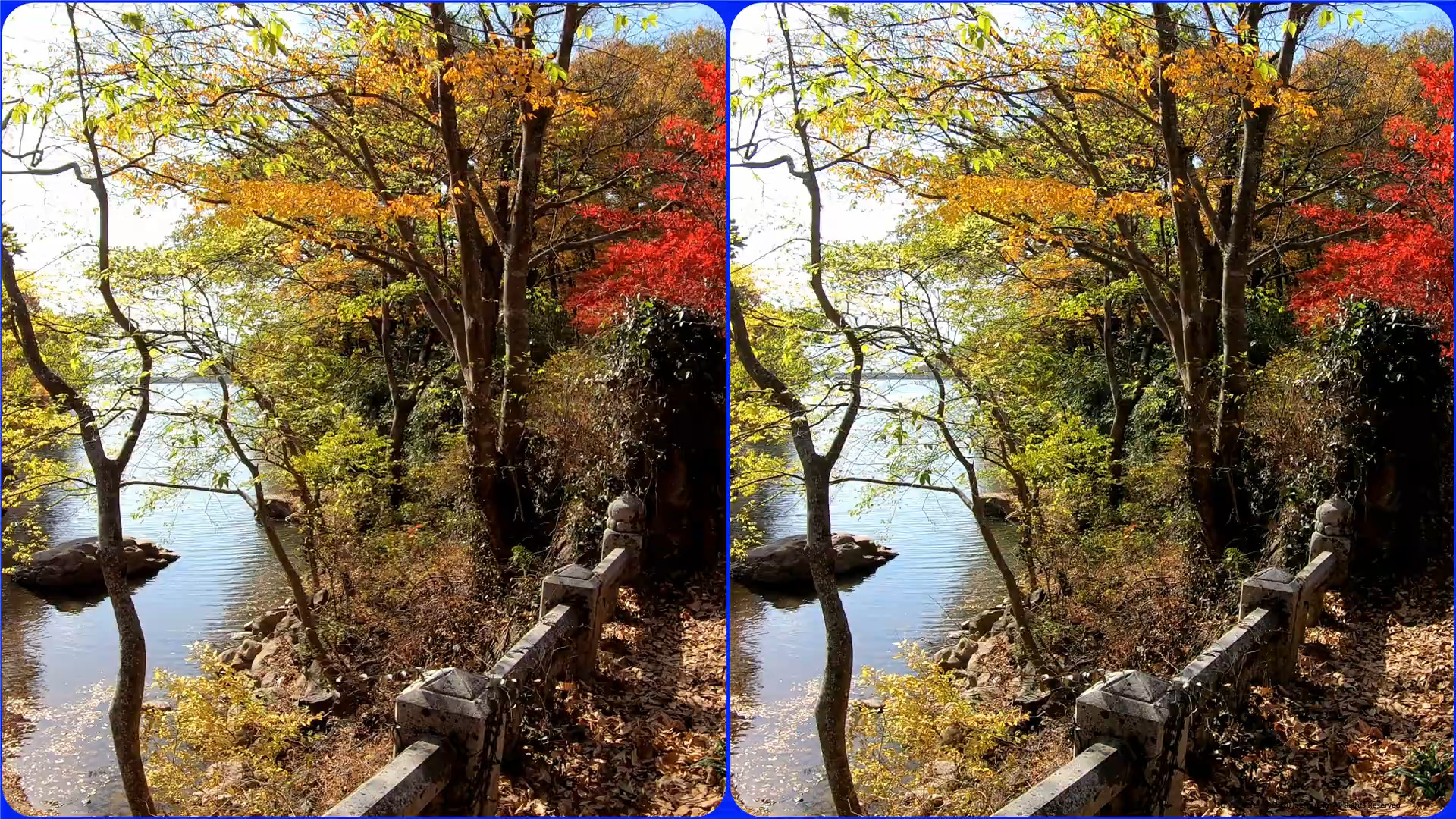 Trees_all_together Object Detection Dataset by Andrey Markov