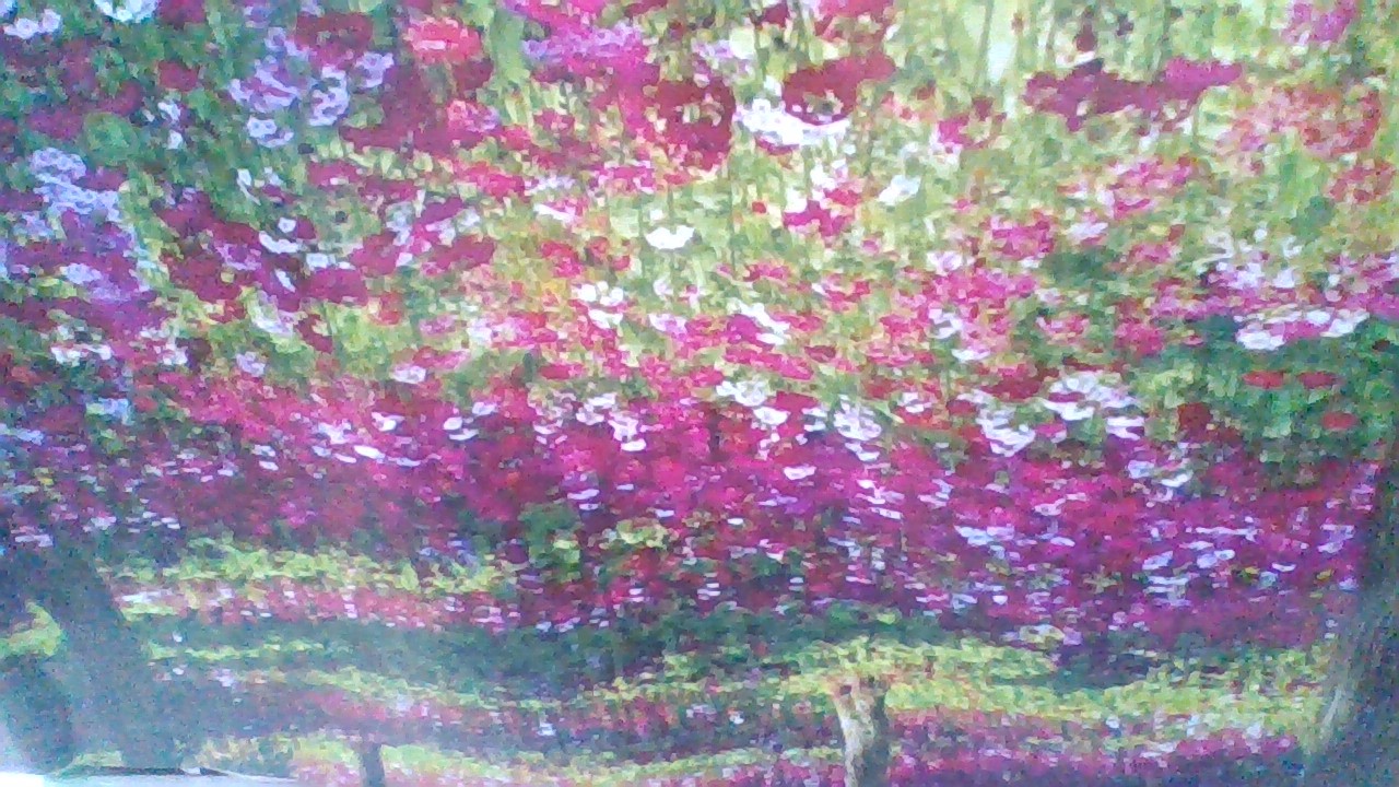 Butterfly Object Detection Dataset And Pre Trained Model By Butterfly