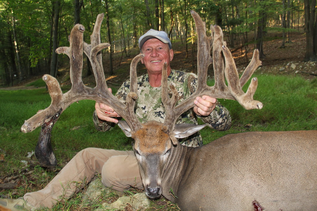 antler_detection Object Detection Dataset by CODE MASTER