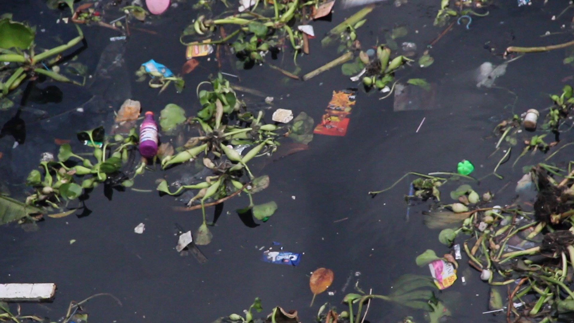 River Trash Object Detection Dataset by trash sj