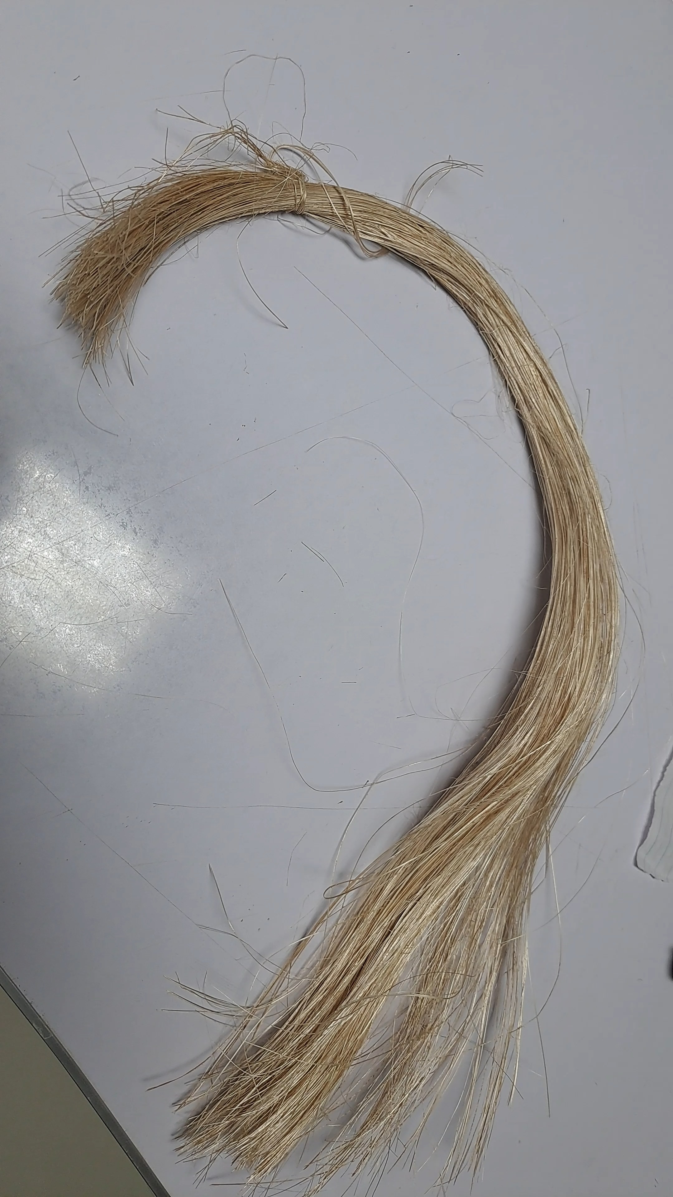 Abaca Fiber Classification Object Detection Model by Abaca Fiber Testing