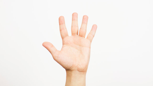 HandGesture Object Detection Model by Hand gesture