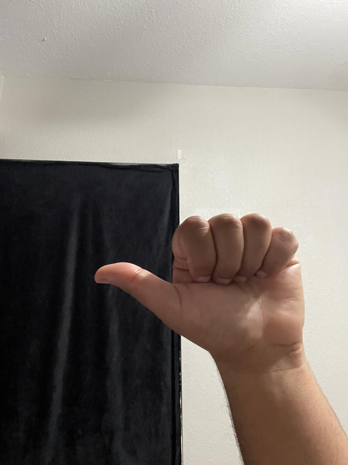 HandGesture Object Detection Dataset and Pre-Trained Model by Hand gesture