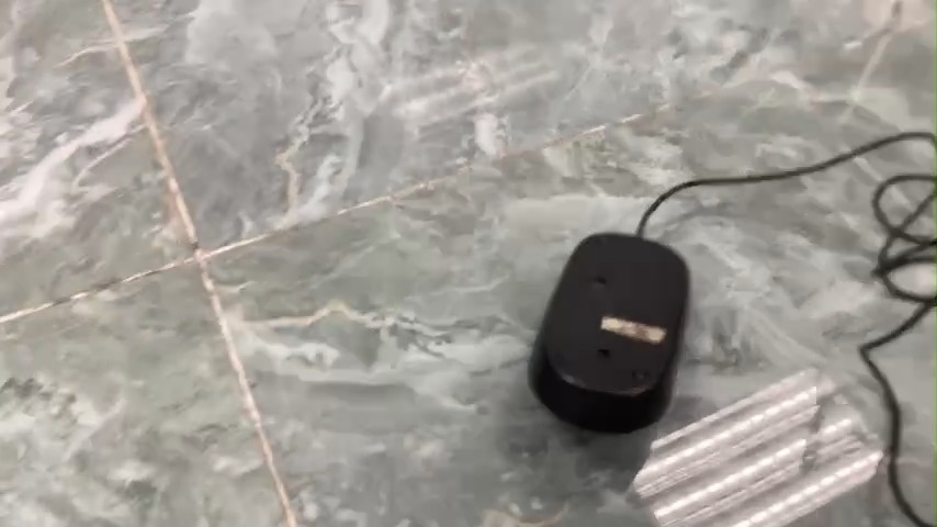 Chuot Object Detection Dataset by THXLA