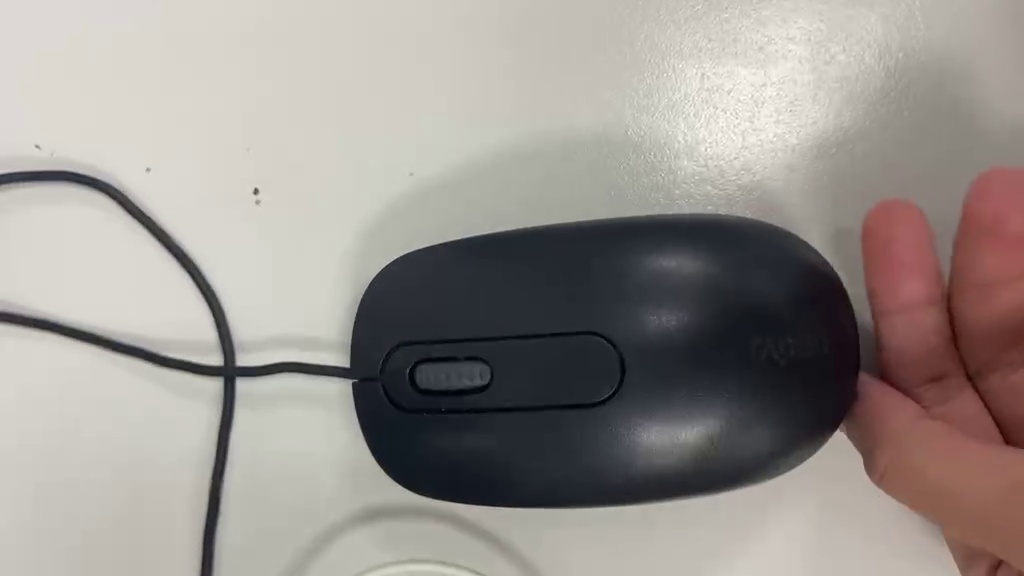 Chuot dataset Object Detection Dataset by THXLA