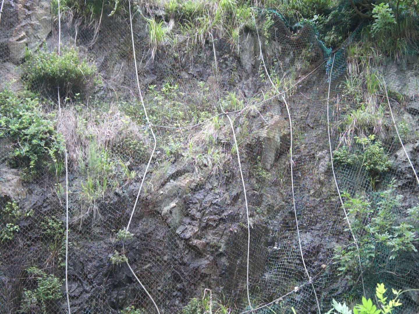 Object Detection Object Detection Model by Falling Stone