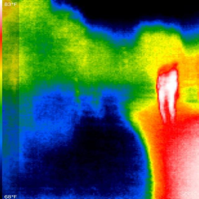 Thermal vision human detection Object Detection Dataset and Pre-Trained Model by focus hackathon