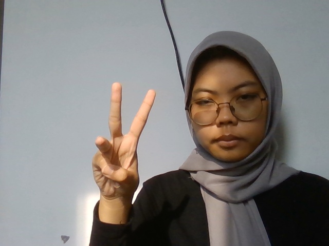 30framestatis Object Detection Dataset by Project Sign Language