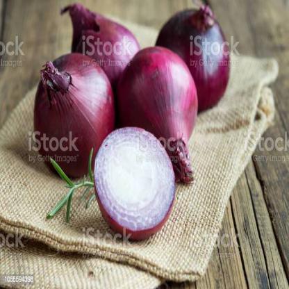 Onions Object Detection Model by LeadedCosine