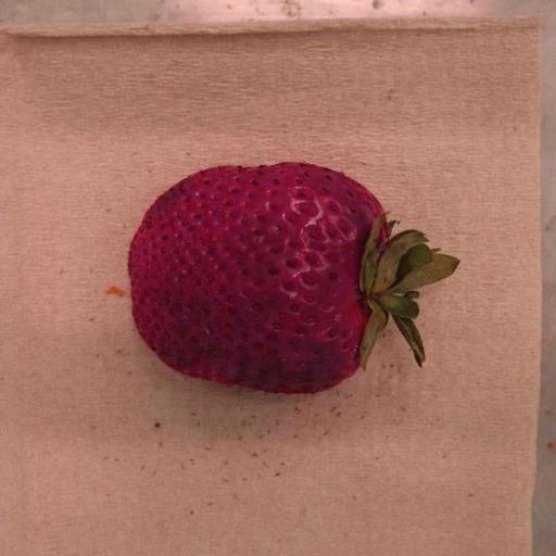 Strawberries Instance Segmentation Dataset and Pre-Trained Model by Strawberries Third Augment