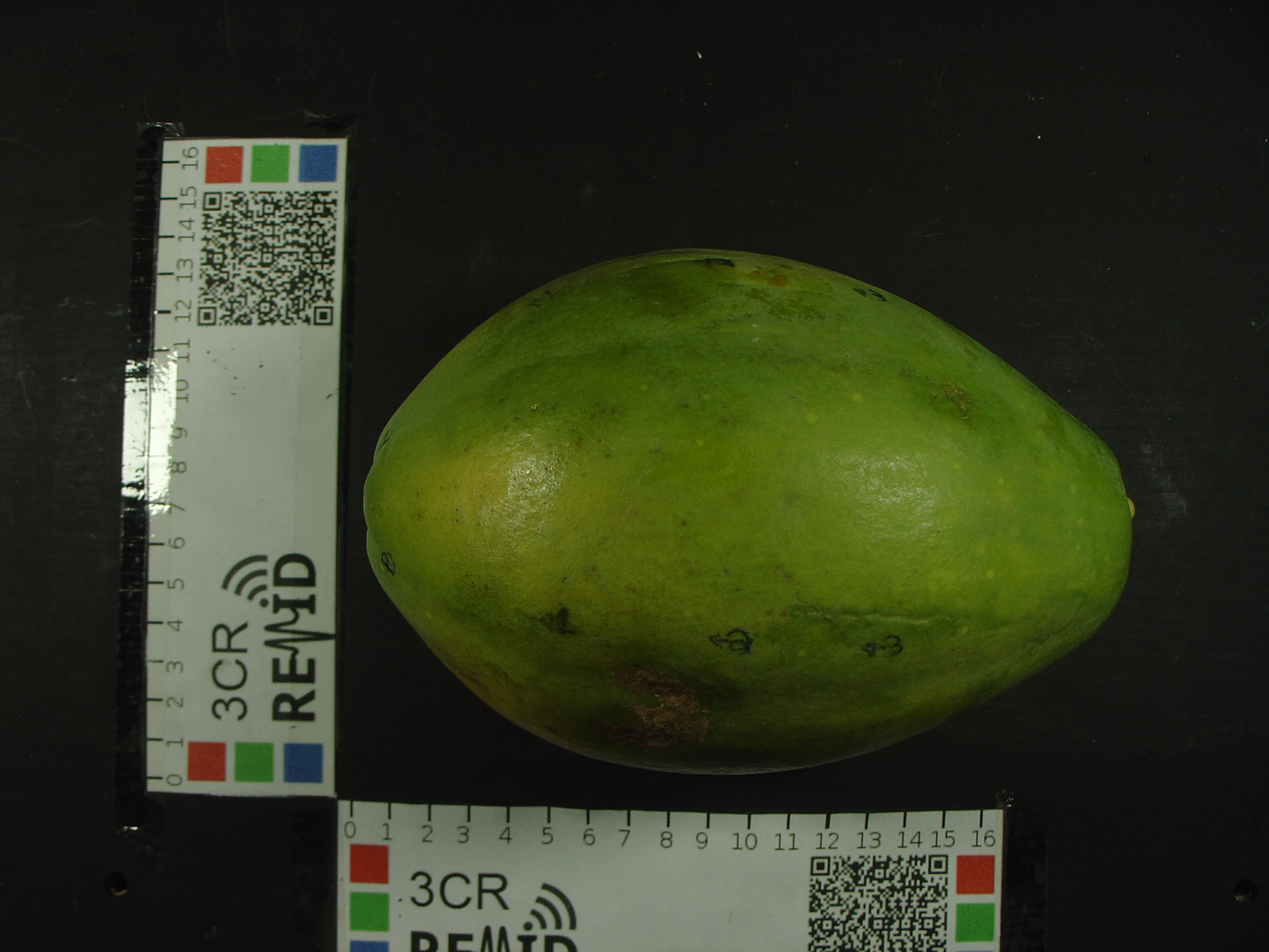 Ripeness Object Detection Dataset And Pre Trained Model By Maurea