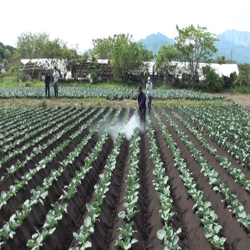 mist_detection_1 Semantic Segmentation Dataset and Pre-Trained Model by IPU