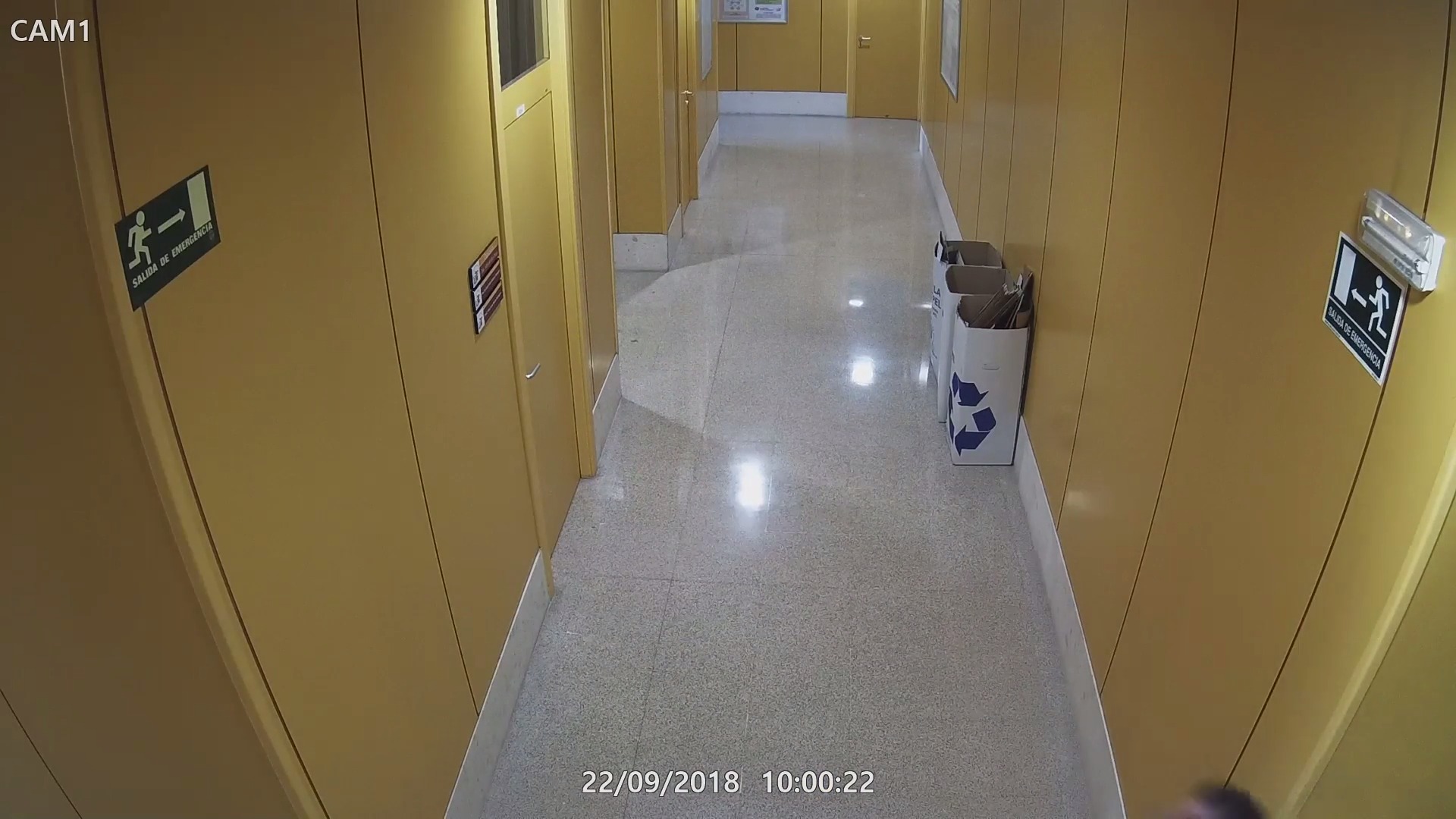 Guns Knives Detection Object Detection Dataset By Yashas