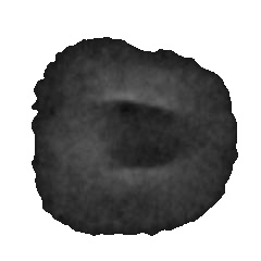 Hazelnut X-Ray Object Detection Dataset by SMurat YILMAZ