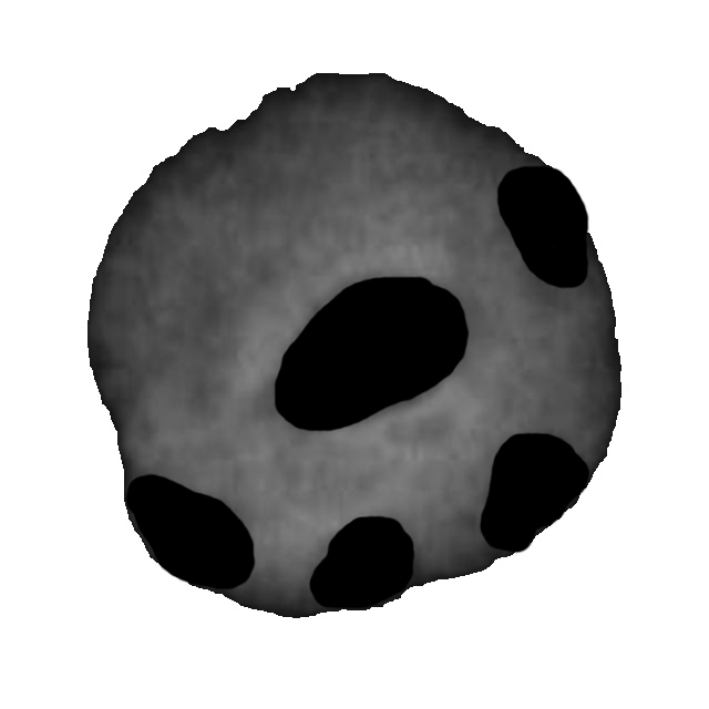 all_hazel Object Detection Dataset and Pre-Trained Model by SMurat YILMAZ