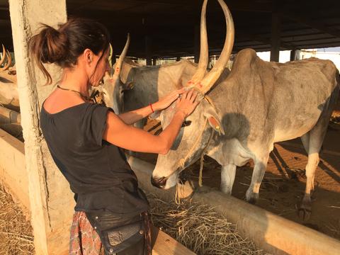 Rudra Tech - Roboflow Universe