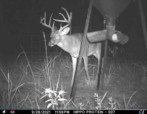 animal Object Detection Dataset and Pre-Trained Model by yolov5