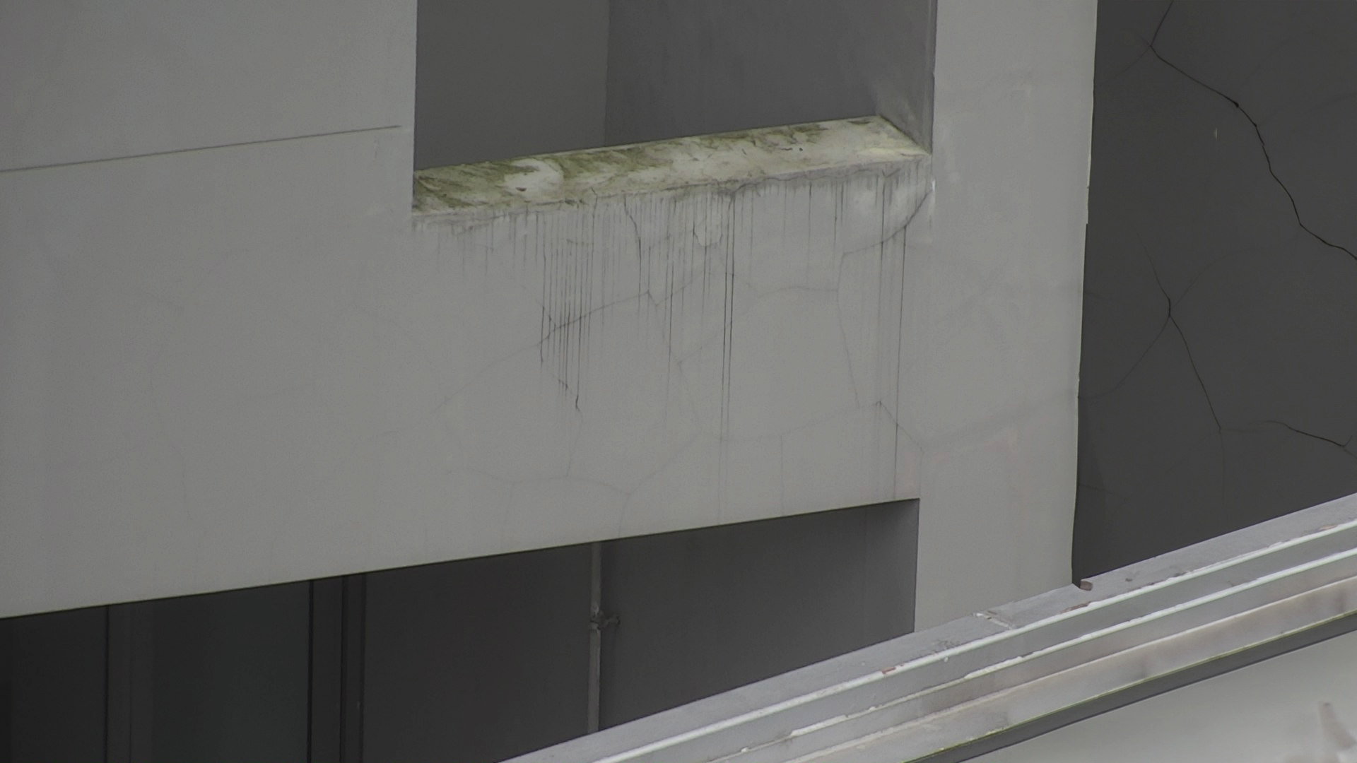 Training (training-7ceag) - Roboflow Universe