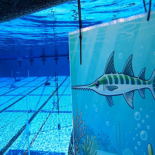 swordfish Object Detection Dataset by trying to sign in