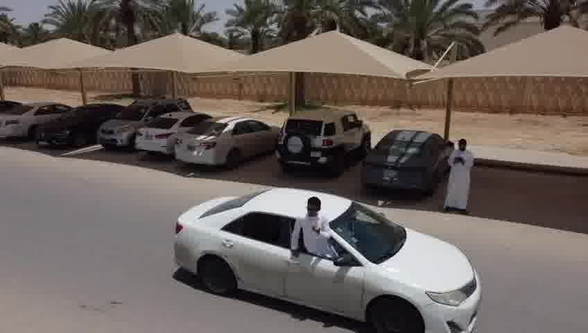 final 2 Object Detection Model by t5