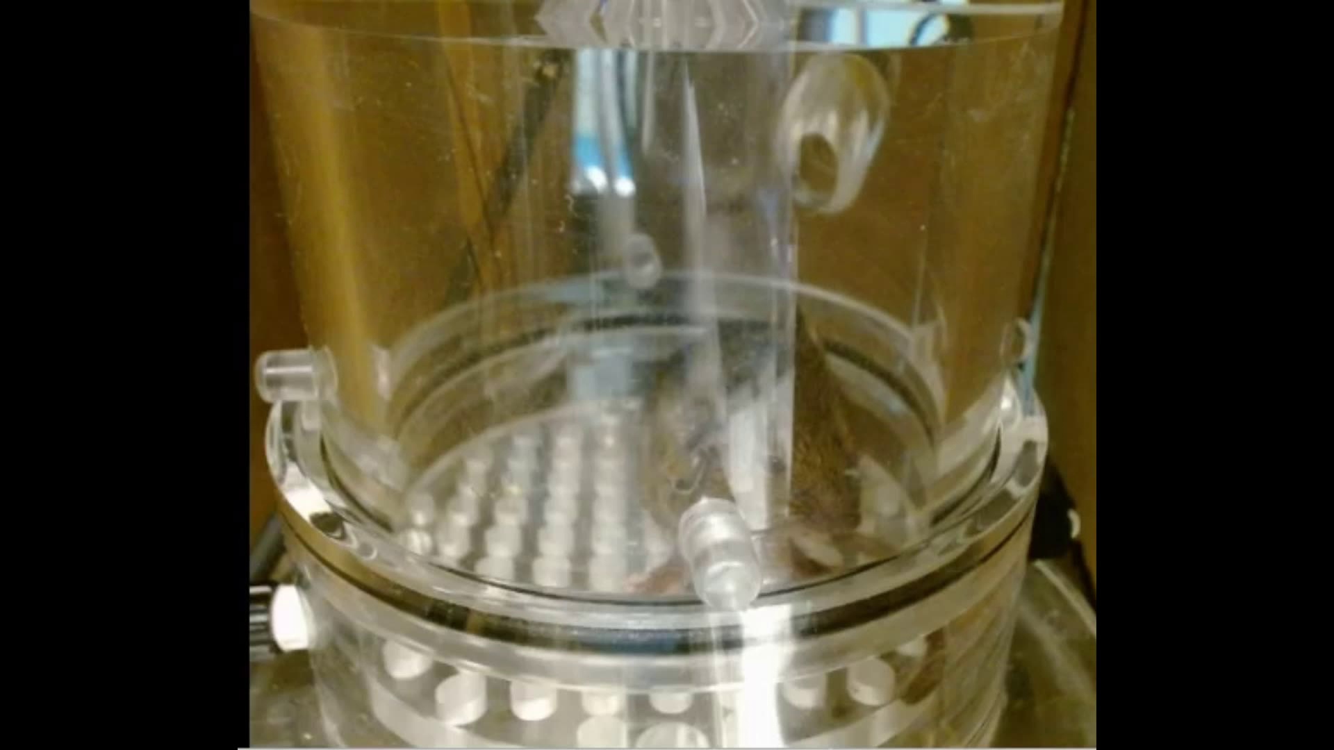 Pleth Movement Instance Segmentation Dataset by school