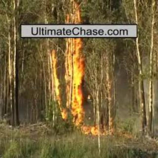 Wildfire Detection Object Detection Model by Model Fire deduction