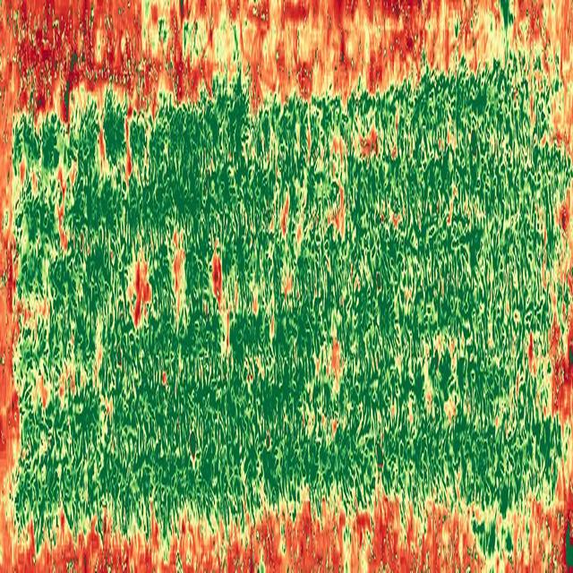 Wheat Plants Vari Instance Segmentation Dataset By Wheat Crop Disease