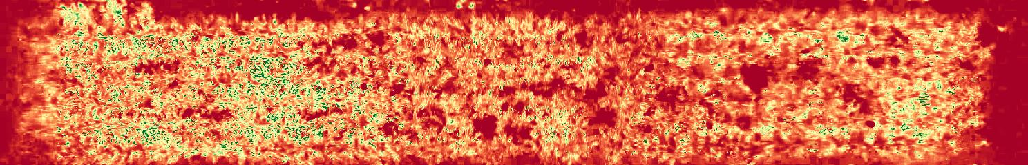Vari Final Instance Segmentation Dataset By Wheat Crop Disease Detection
