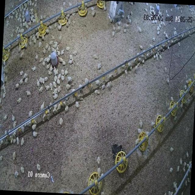 Avitwins_segmentation Instance Segmentation Dataset by Avitwins01