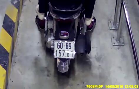 bsx_ylv8 Object Detection Dataset and Pre-Trained Model by bin s xe