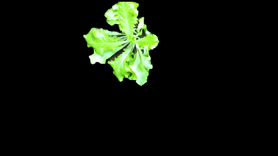 Leafdetections Object Detection Dataset By Robo