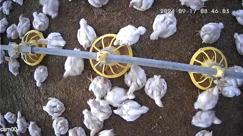 tutorial (tutorial-faat8) - Roboflow Universe