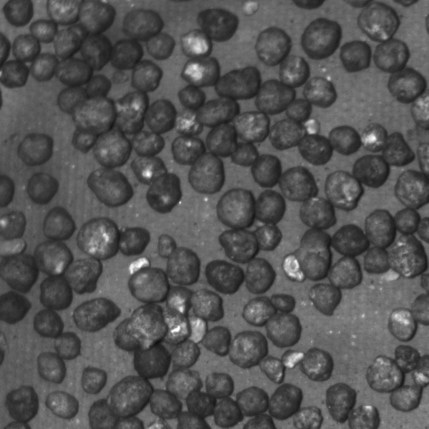 How to Use the Custom Workflow 2 Object Detection Object Detection API