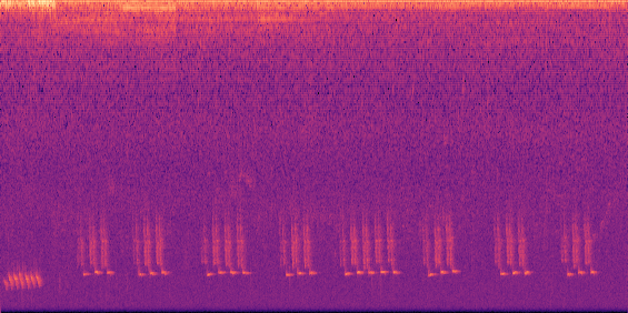 bird_sound Object Detection Dataset by birdsound