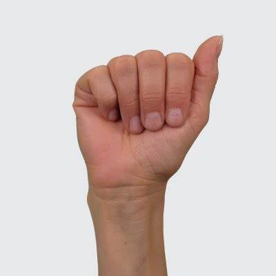 ASL_Pose Keypoint Detection Model by ASLrealtime