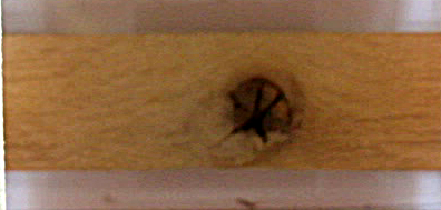 wood defect (wood-defect-cneqr) - Roboflow Universe