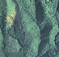 Segformer Landslide Detection Semantic Segmentation Model by LANDSLIDE