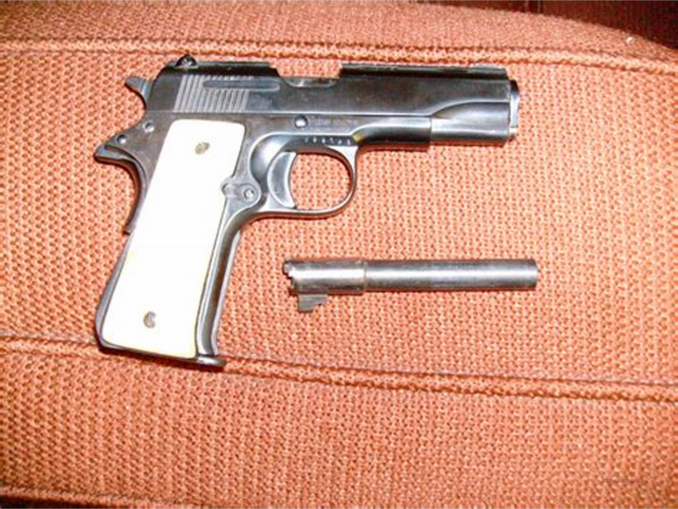 Gun Detector v2 Object Detection Dataset and Pre-Trained Model by Tien King