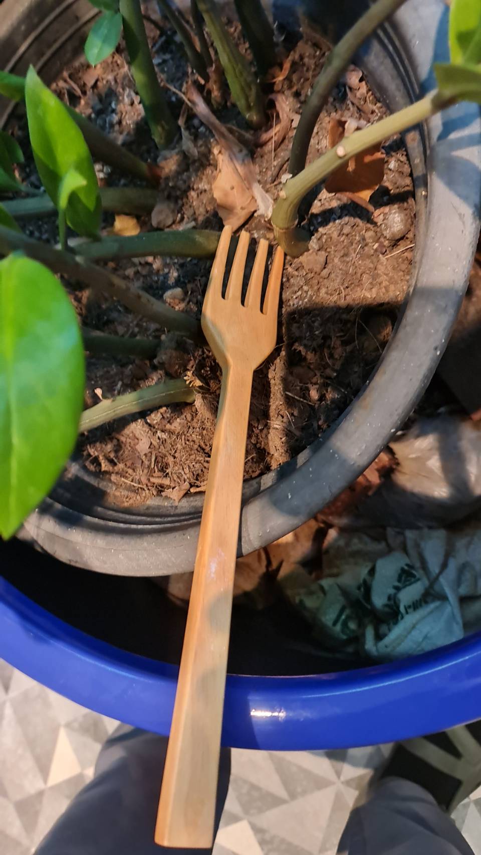Fork Detection Object Detection Dataset And Pre Trained Model By First
